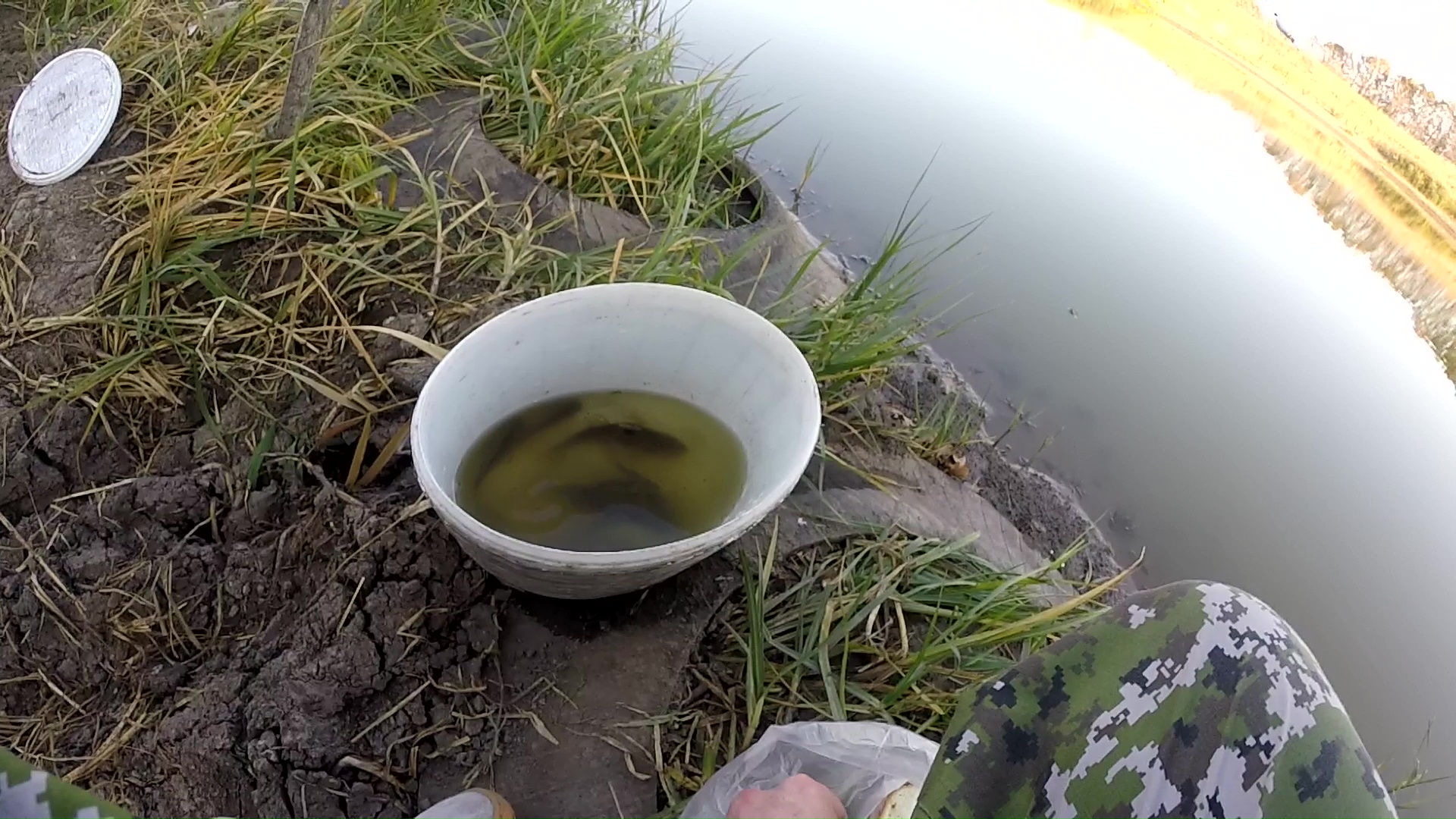 Ловля живца на поплавок. Пруд почти пересох (18.10.2020)