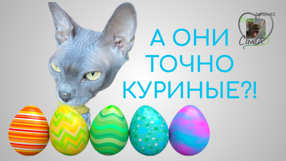 А ОНИ ТОЧНО КУРИНЫЕ?!