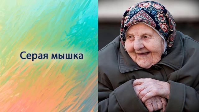 Серая мышка