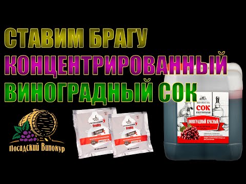 СТАВИМ БРАГУ НА КОНЦЕНТРИРОВАННОМ СОКЕ. ГОТОВИМСЯ К ЛЕТНИМ ДЕГУСТАЦИЯМ НА ПРИРОДЕ.