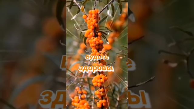 Будьте здоровы!