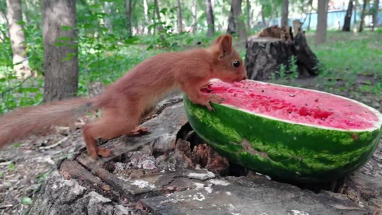 18 августа 2023 г.