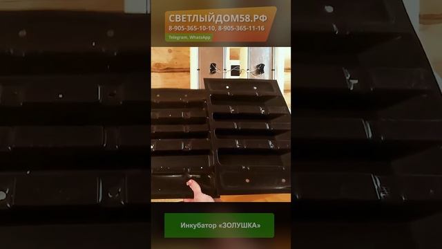 Бытовой инкубатор Золушка: устройство и комплектация. Инкубатор для дома.