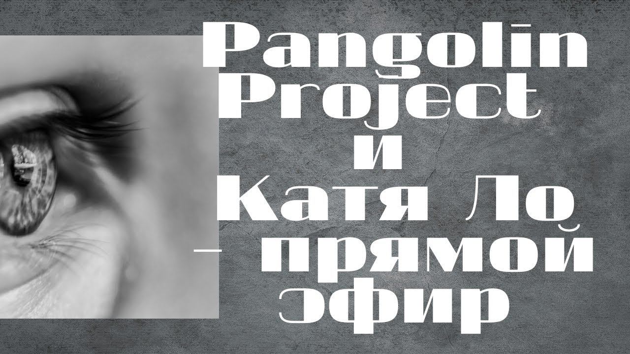 Pangolin Project и Катя Ло - прямой эфир для Федерации Йоги