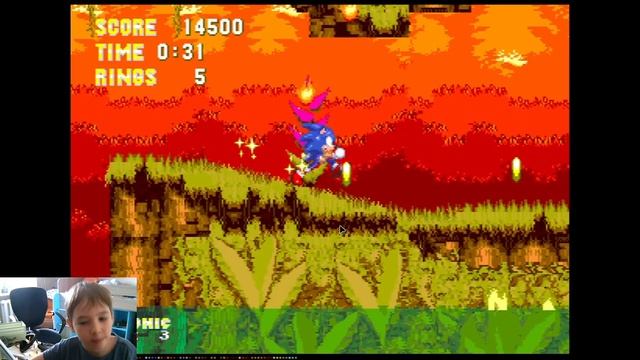 1 зона в sonic 3 & knuckles