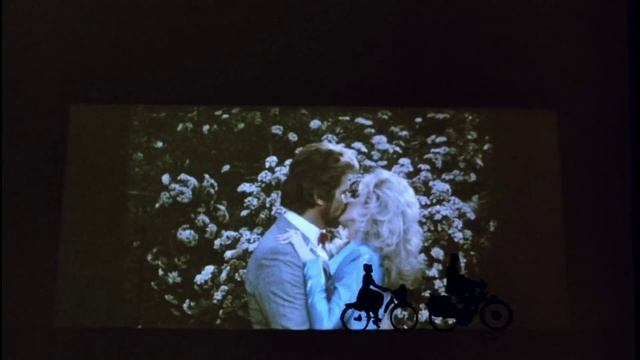 The Beauty Of Tim Burton