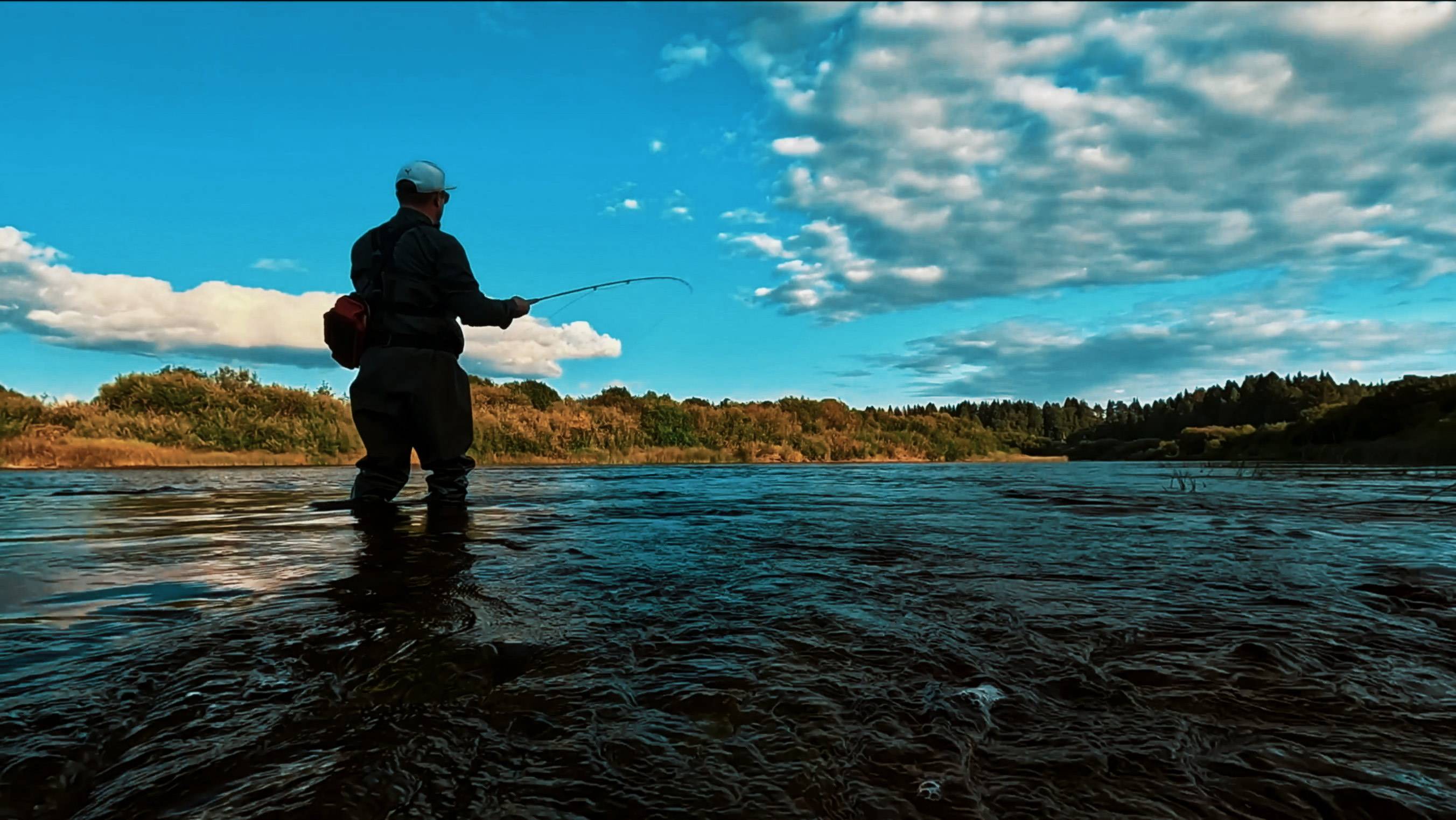 ВОДА ЦВЕТЁТ РЫБА КЛЮЁТ