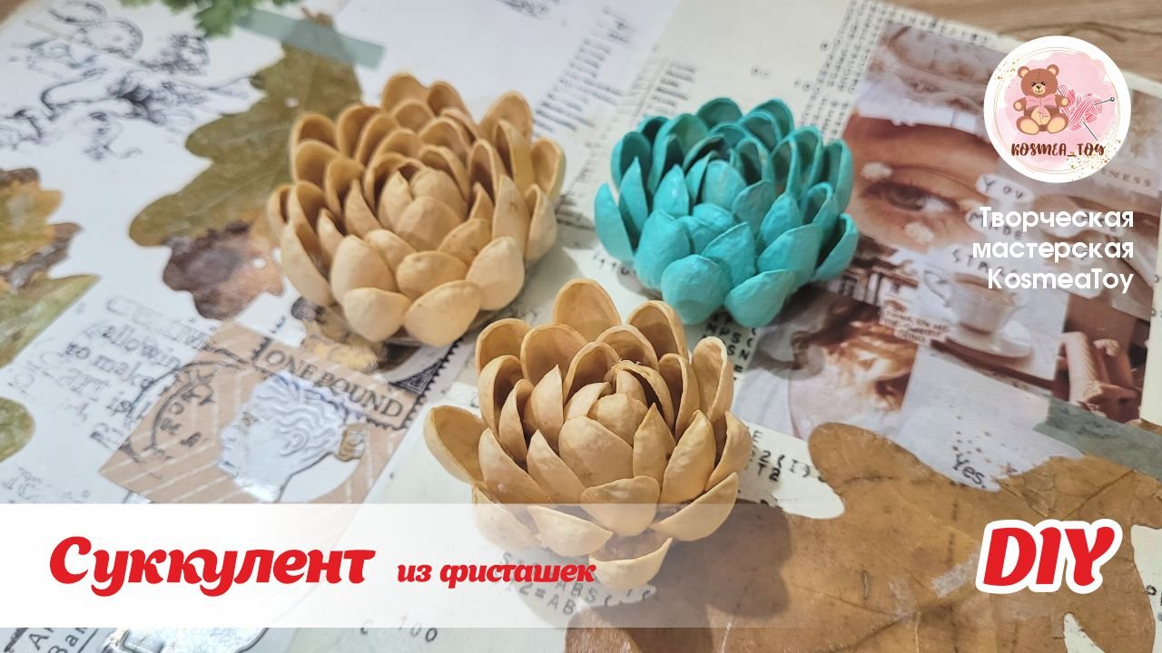 Суккулент из фисташек. Делаем своими руками из скорлупок красивый цветок для поделок.