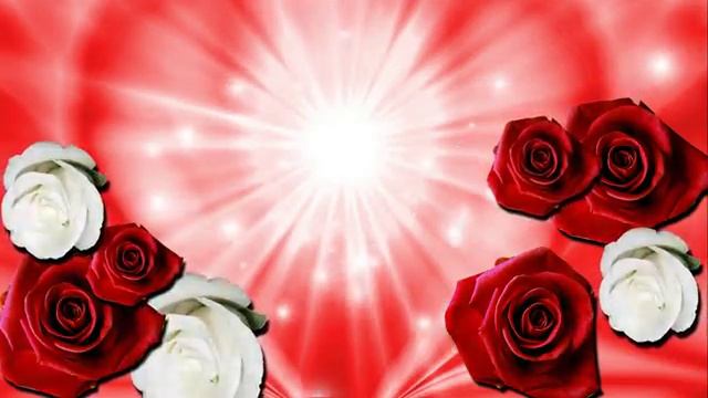 БЕСПЛАТНО Футаж розы 4.mp4