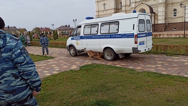 Поиск наркотиков. Показательное выступление.