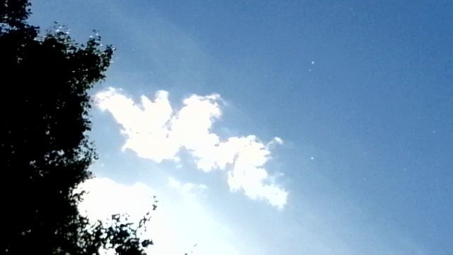 Июньское небо в парке