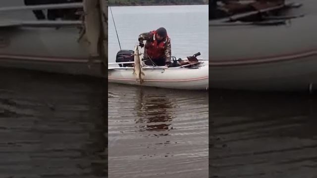 самый первый мой иртышский улов