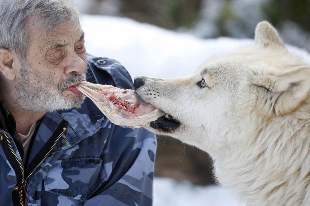 Ещё точней подскажет страх