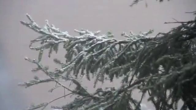 Източна православна църква Българска музика