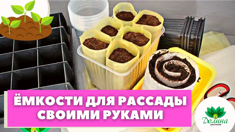 Ёмкости для рассады СВОИМИ РУКАМИ! Мастер-класс от эксперта✔️