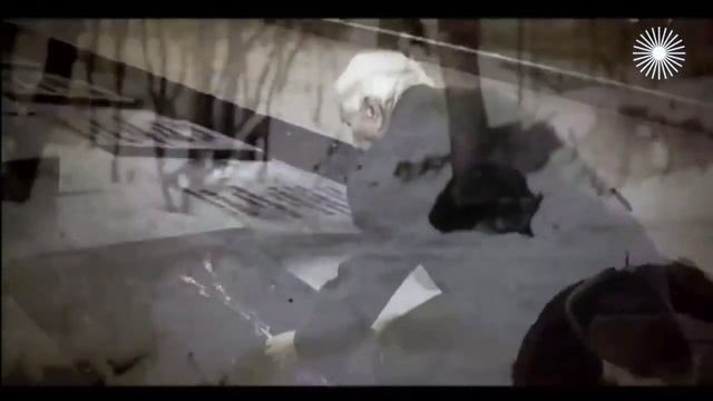 Мы - внуки твои, Победа