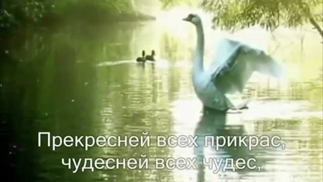 29.Я пью Твою любовь (Прекрасней всех прикрас, чудесней всех чудес).mp4