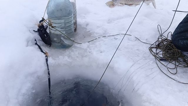 Проверка перемета 5.02.2024г.