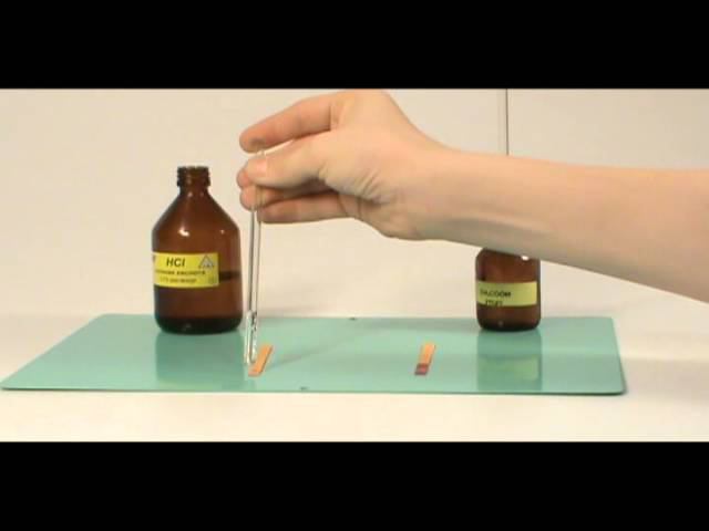 23  Кислый    цвет, или что такое индикатор