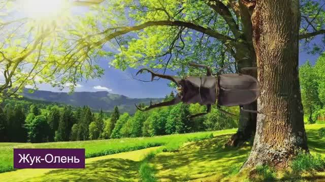 Мультики для детей и малышей, учим название насикомых, звуки насикомых.