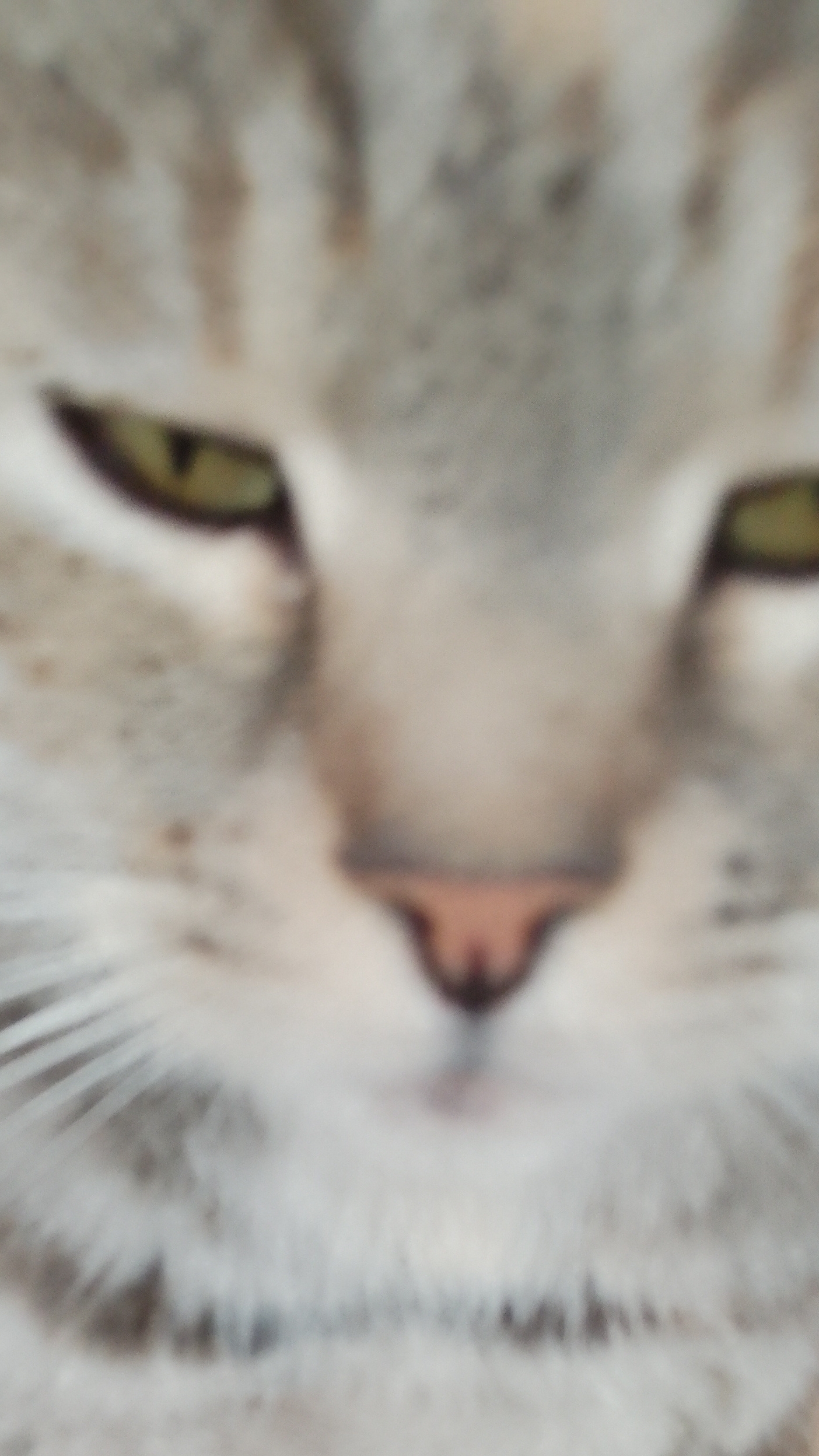 смешно 4 часть🤣🤣🤣🤣🤣🤣