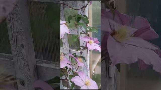 солнечный день.