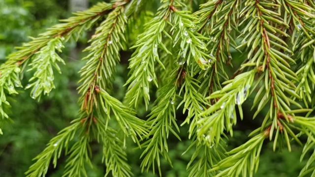 Парк Рускеала. Карелия. Место силы