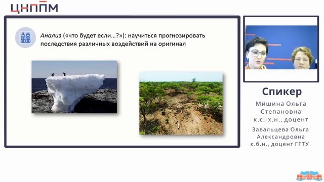 Использование метода моделирование для формирования компетенции "Научное объяснение явлений"