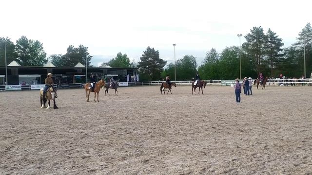 Вестерн плежер - Иппосфера-2022