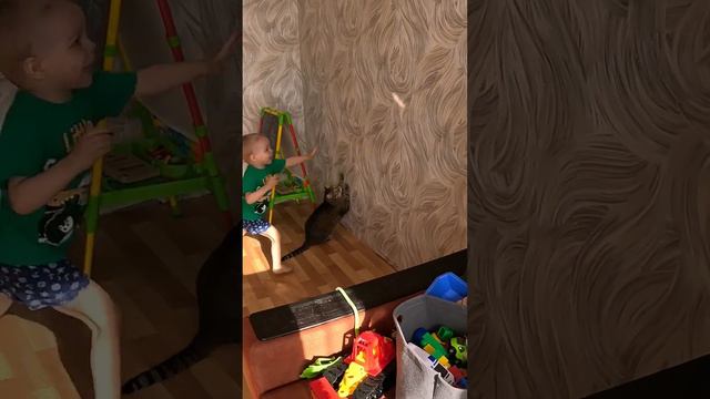 Кот или ребёнок? Кто выиграет битву за зайчика))