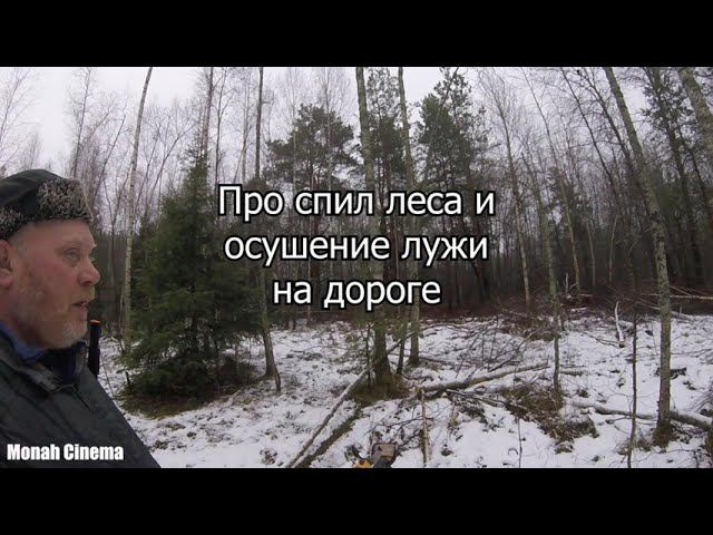 Пока мы с Кирой в деревне устроил в понедельник, субботник на дороге и осушил большую лужу