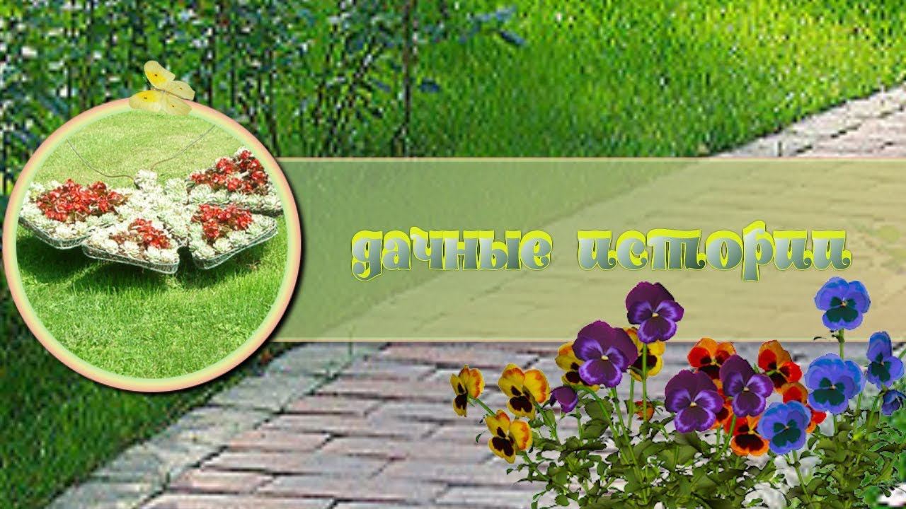 Заставка для видео. Дачные истории. ProShowProducer