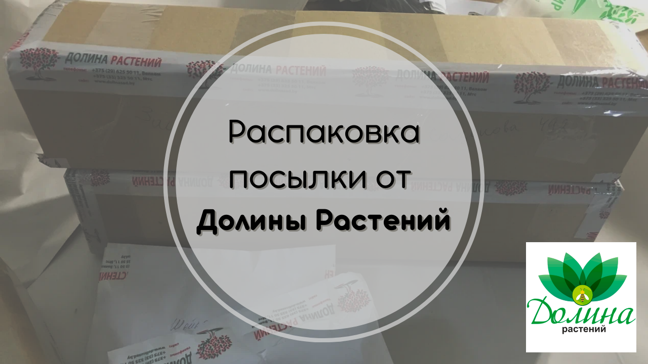 ? Распаковка посылки от Долины Растений (видео-обзор от клиента 05.04.2022)