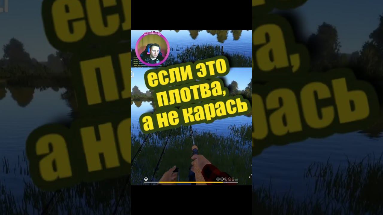 Короткие видео по РР4
