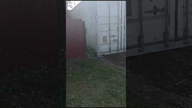 Купить контейнер 20 фут с доставкой недорого. Отзыв покупателя