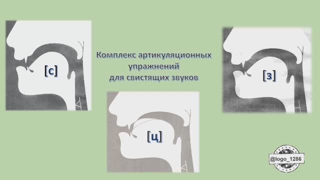 Комплекс артикуляционных упражнений для свистящих звуков.