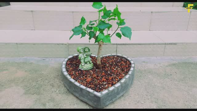 Цветочный горшок из цемента в форме сердца