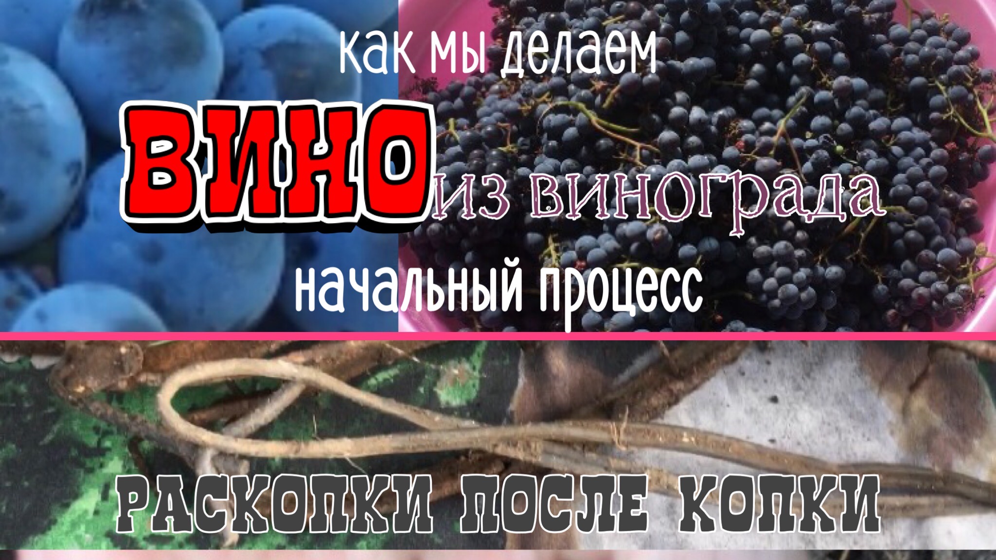 Виноград собрали/Запускаем процесс/Раскопки после копки))/2021/