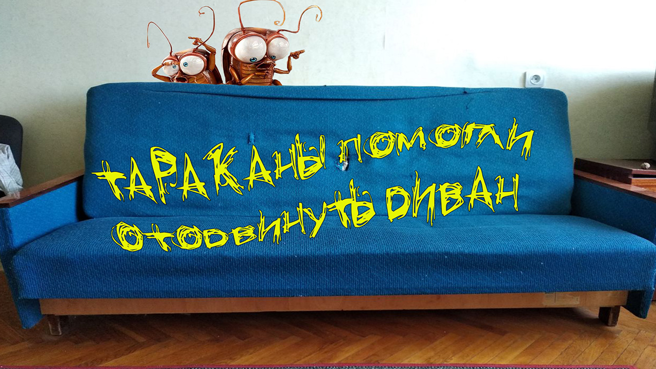 Тараканы помогли сдвинуть диван