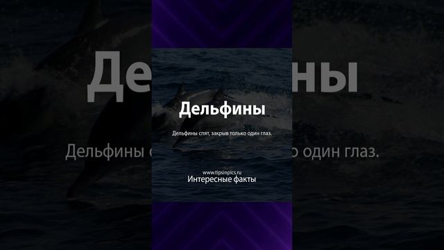 Интересные факты #рекомендации #факты