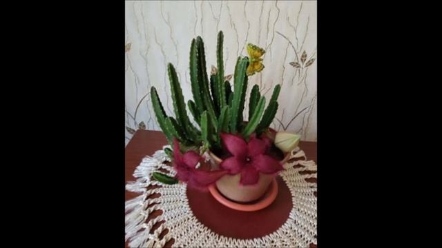 Стихи о жизни. О чём поведал кактус. Татьяна Логиновская