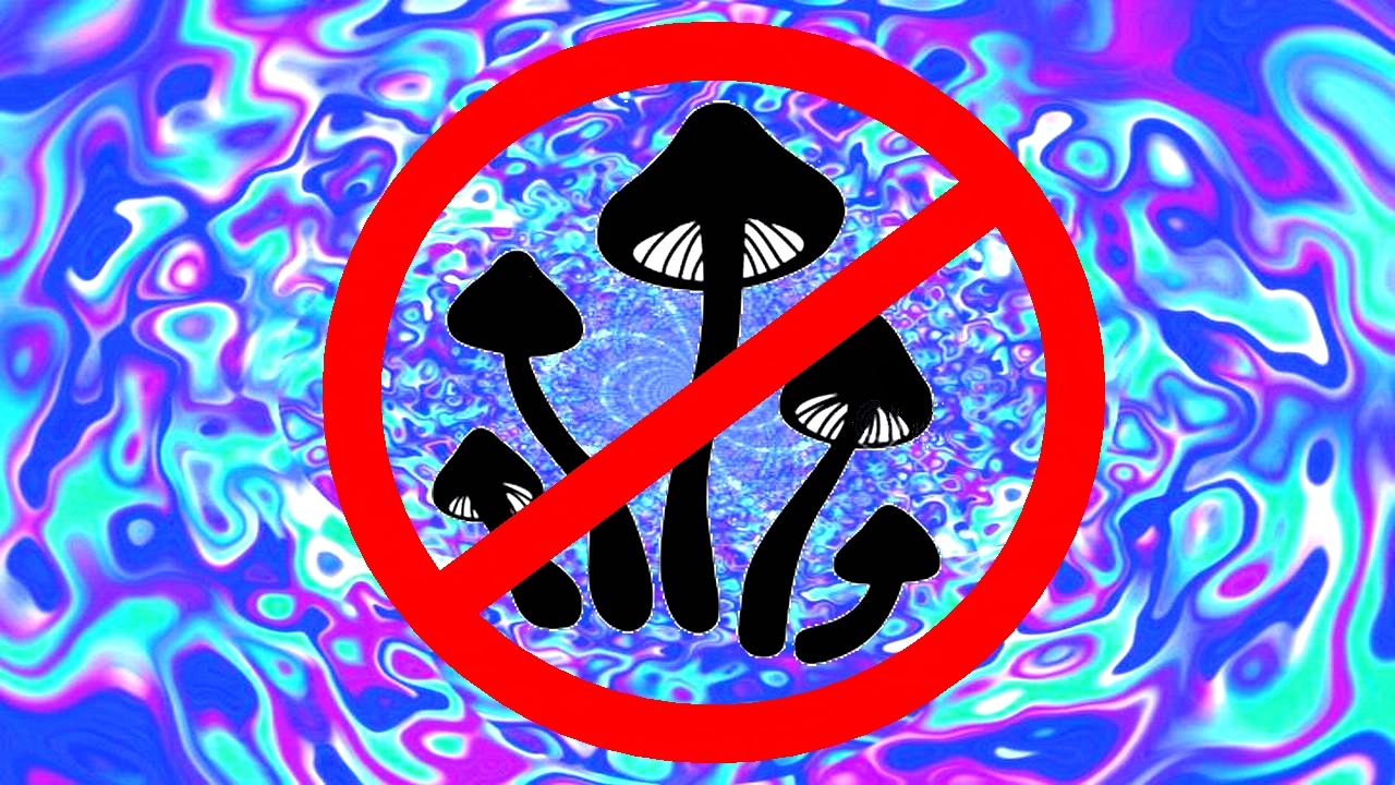 Быстро избавиться от плесени, грибка.