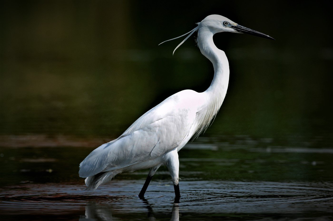 А вы знаете, что есть в Пташкино.
