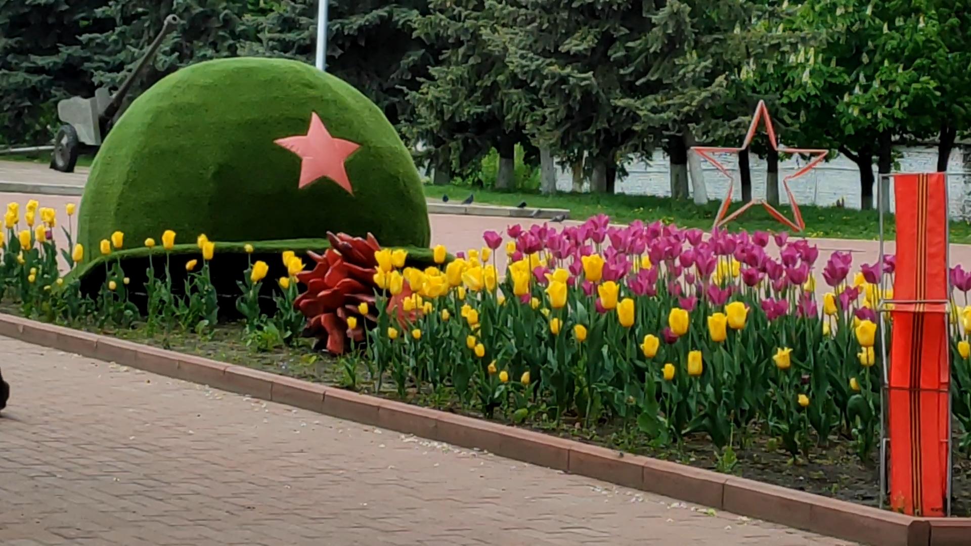 ТЮЛЬПАНЫ на Аллее Славы к Дню Победы.