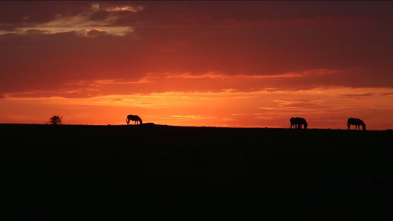 Отель в Масаи-Мара          Hotel in Masai Mara