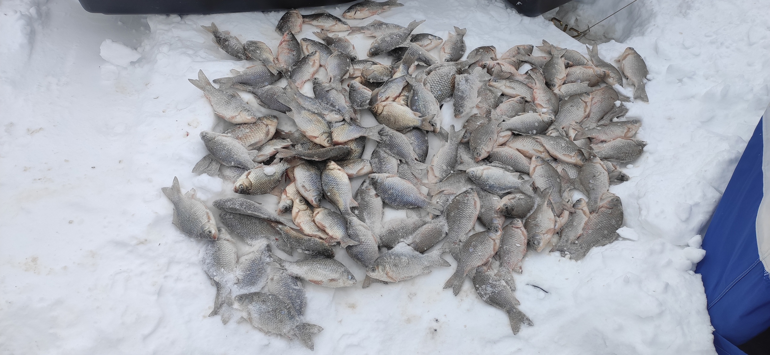 Мы это СДЕЛАЛИ? Трудовая рыбалка на карася в бесклевье? Озеро Салтаим, деревня Березовое.