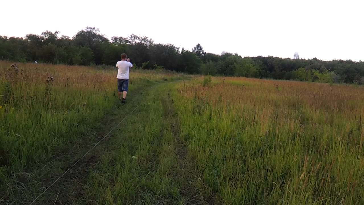 Курсинг в Челябинске 18.07.2013. Бигли Фока, Эсти, Джеси