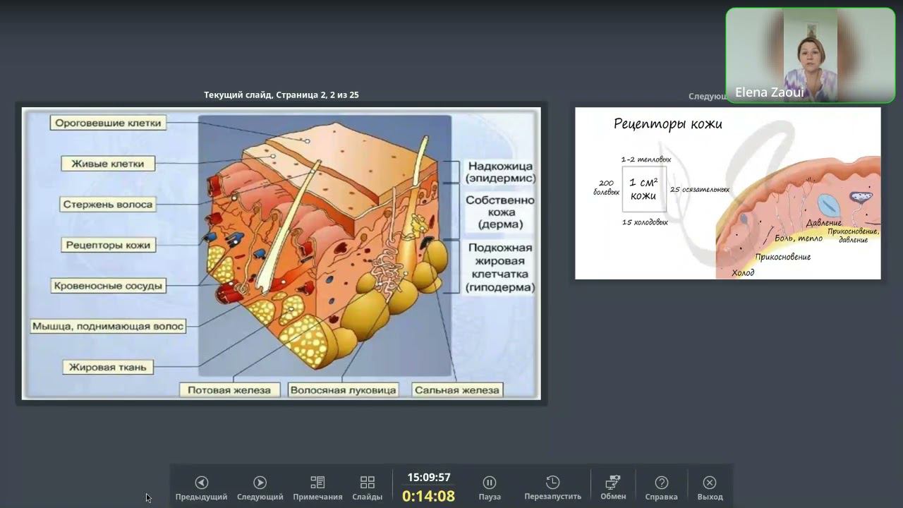 психосоматика  кожа