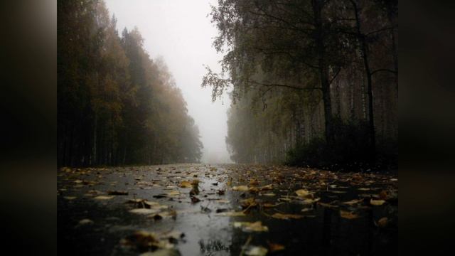 Анастасия КОШЕЧКО. «РУКАМИ В ВОЛОСЫ — ДО БОЛИ...». Читает Ярослав ГОДОВАНЫЙ