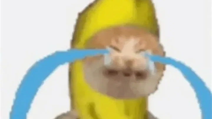 Банан-кот. пародия